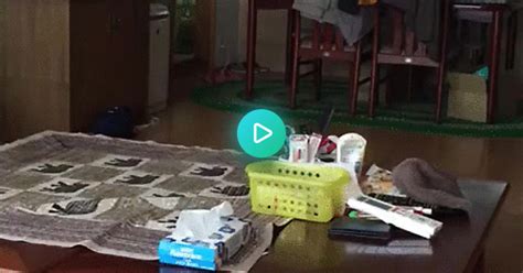 Here I Come  On Imgur