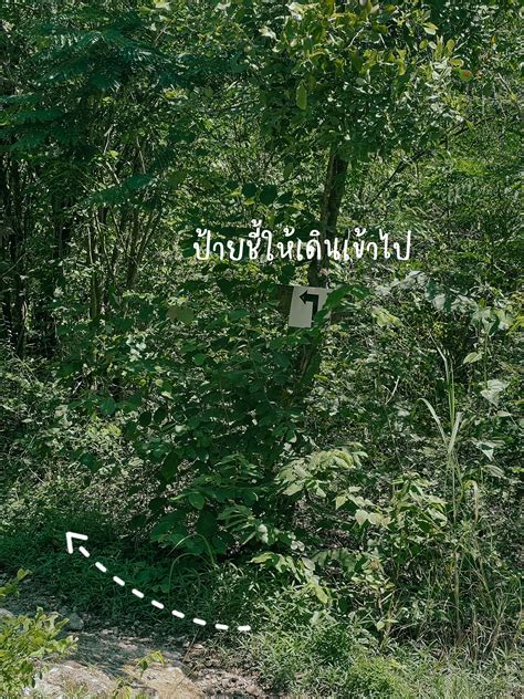 พาไปปีนเขาทะลุมิติ⛰ Unseen ราชบุรี แกลเลอรีที่โพสต์โดย Annalist Lemon8