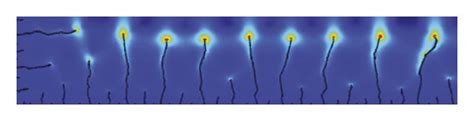 Crack Paths Predicted By Different Methods T0 600°c A