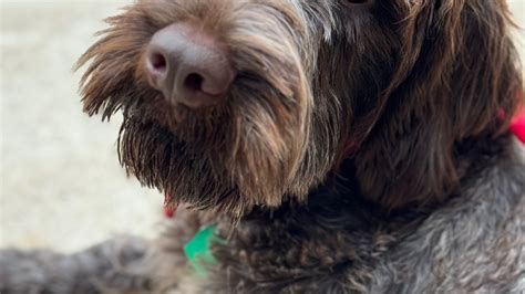 Understanding Root Cause Analysis Rca Theory Methods And Best Practices By Tim Cutts And