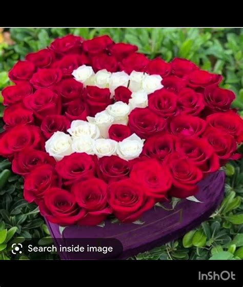 Z Hərfi😊 Youtube