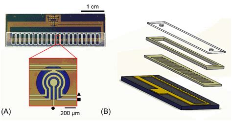 Design Of The Microfluidic Sensor A Image Of Device Used With An Download Scientific Diagram