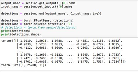 Onnxruntime Session Run Return Negative Number Issue Onnx Onnx GitHub