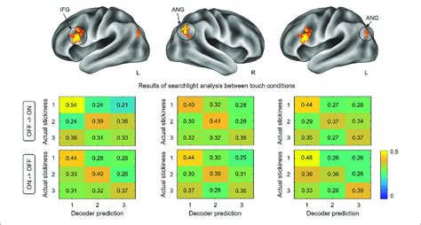 Results Of Searchlight Analysis Between Touch Conditions The