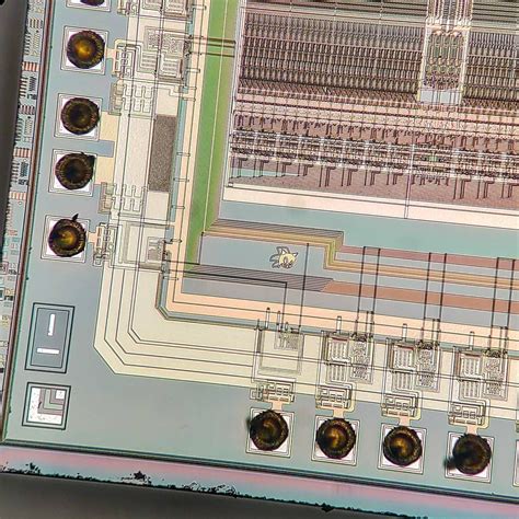 this analog devices adsp 2181 chip looks normal but it s hiding a microscopic sonic the