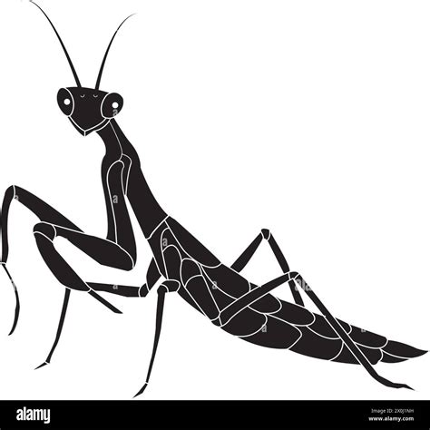 Grasshopper Icon Vector Illustration Simple Design Stock Vector Image