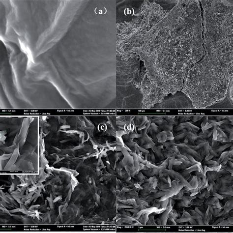Adsorption Isotherm Models Correlation Coefficients And Constants