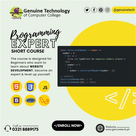 Become A Programming Expert Shan College