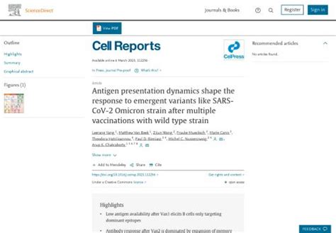 Antigen Presentation Dynamics Shape The Response To Emergent Variants