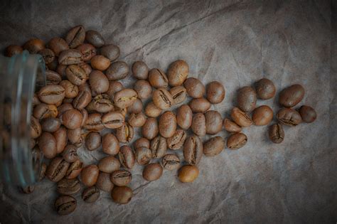 볶은 커피 콩은 유리 용기에서 부 어 커피 개체의 각 배치입니다 다크는 콘크리트에 가로 보기입니다 복사 공간 0명에 대한 스톡 사진 및 기타 이미지 Istock