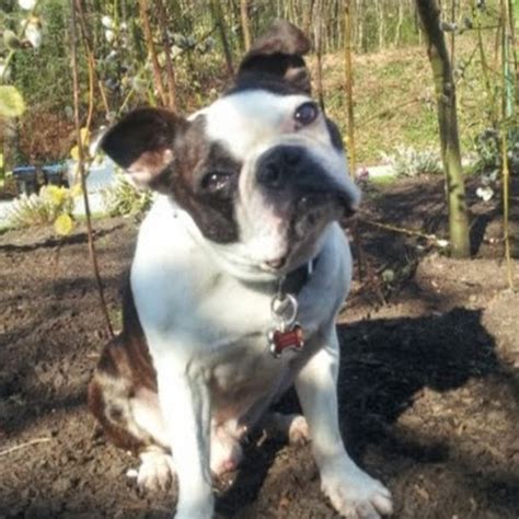 Christopher Mcpartlin Youtube