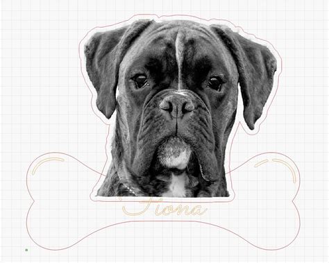 Cut Object With Object Lightburn Software Questions Lightburn