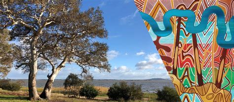 Grassland Curing Is A Pomonal Rural Fire Brigade Cfa Facebook