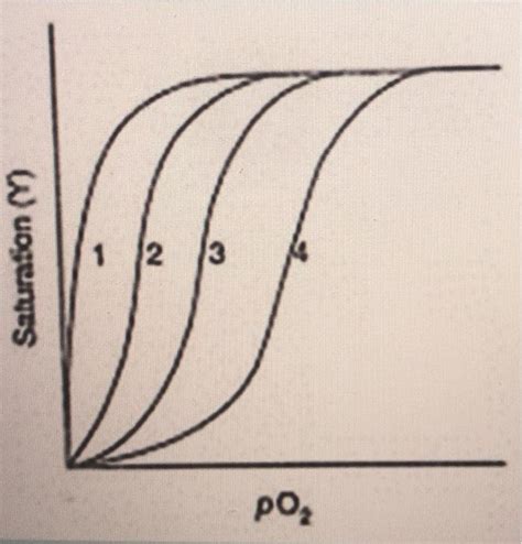 Solved The Graph Shows Several Oxygen Dissociation Curves
