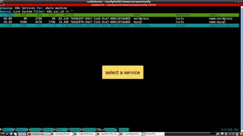 monitoring kubernetes with sysdig kubernetes