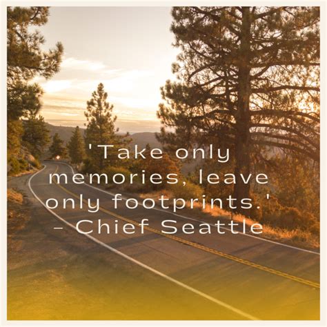 Wander Quotes