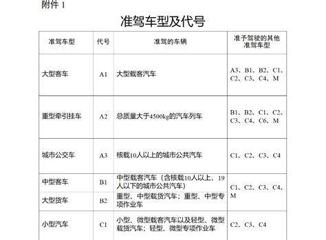 c本能开9座车吗 有驾