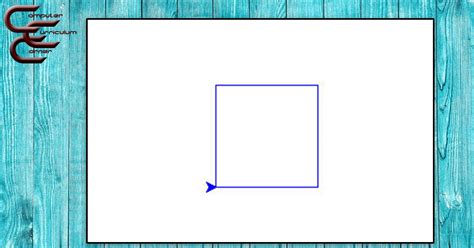How Can Loops Manipulate Python Turtles Graphics Functions Computer