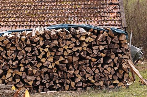 Premium Photo Stack Of Logs In Field