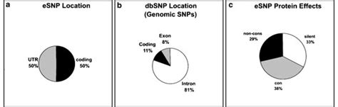 Characterization Of SNP Effects On Protein Coding Download Scientific Diagram
