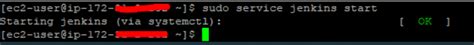 Setup A Jenkins Build Server On AWS EC