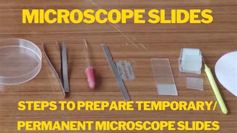 How To Make Permanent Microscope Slides At Brad Hewitt Blog