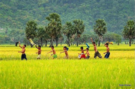 រូបភាព ធម្មជាតិ