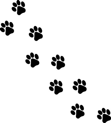 Dog Paw Print Outline Animal Animal Tracks Dog Dog Paw Paw Print