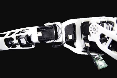 Trunk Assembly · Documentation Of The Poppy Platform