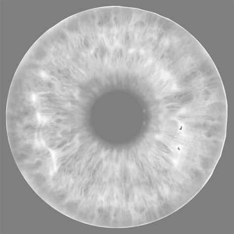 Eye01 Cgtrader