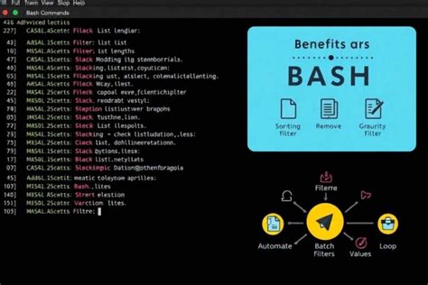 The Ultimate Guide To Bash Lists Create Loop And Manage