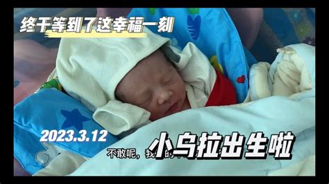 混血小乌拉出生啦，媳妇忍着刀口的疼痛也要起来看着小宝贝 Youtube