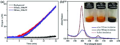 A Photochemical Oxygen Evolution In 1 5 Ml Of A Ph 7 0 0 1 M Download Scientific Diagram