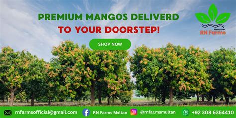 Basic To Advanced Languages Loops In C Programming Language For Loop While Loop And Do While