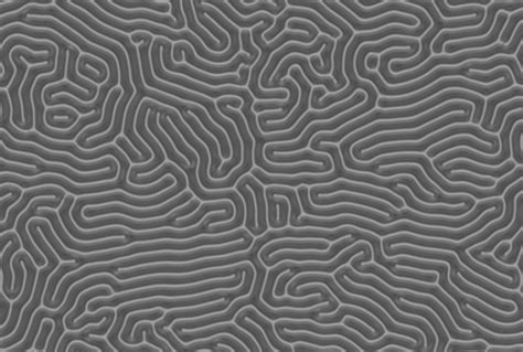 Reaction Diffusion Systems Syntopia