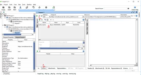 Use Salesforce Rest Api In Soap Ui Tool