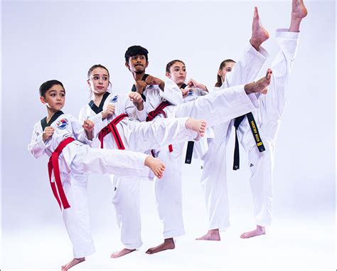 Home Master Lims World Champion Tae Kwon Do