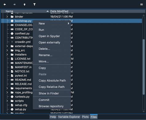 Python Spyder Rename All Store