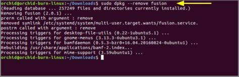 Uninstalling Orchid Fusion Vms In Ubuntu 16 04 To 20 04 Orchid Fusion Vms Installation Guide