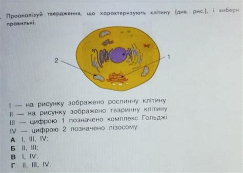 Помогите пожалуйста Школьные Знания Com