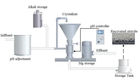 Struvite Structure Elovac® P Ovivo Water