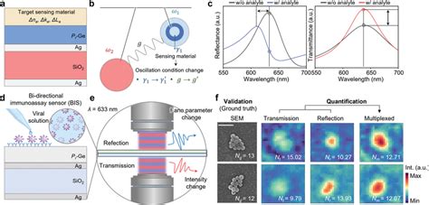 Bidirectional Biosensor Platform For Quantifying Bio‐particles A