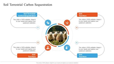 Soil Terrestrial Carbon Sequestration PPT Template CPP PPT Sample