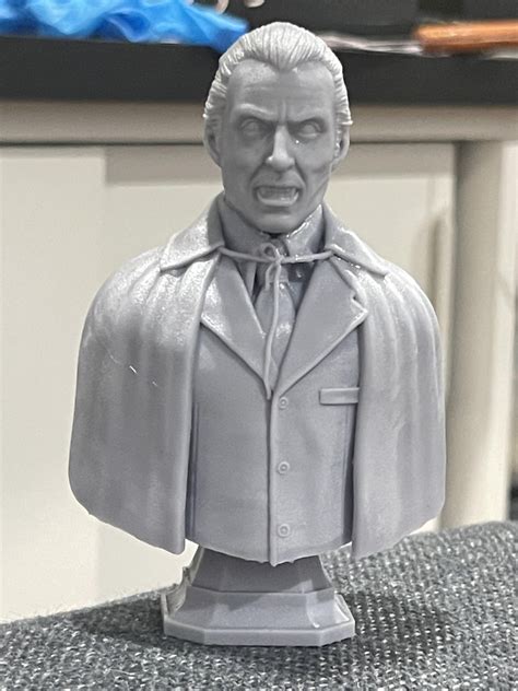 My First Print R Anycubicphotonm3max