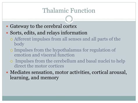 Ppt 12 Powerpoint Presentation Free Download Id3037400