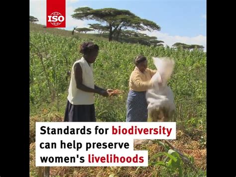 ISO Gender And Climate Change Whats The Connection