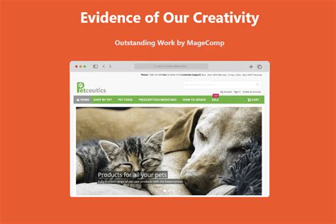 Magecomp Magento Development Company Review 2025 Pros And Cons