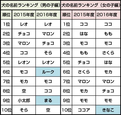 √ 女の子 犬の名前 986115 の名前 女の子 可愛い