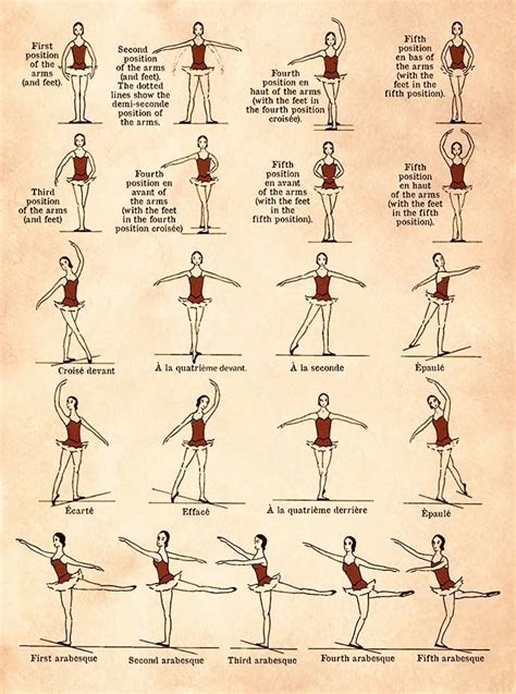 Pin By Sarah Stephenson On Ballet In 2025 Ballet Moves Ballet Dance Moves Ballet Basics