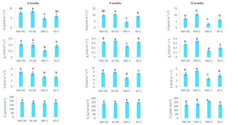 Net Photosynthesis A Stomatal Conductance Gs Transpiration E